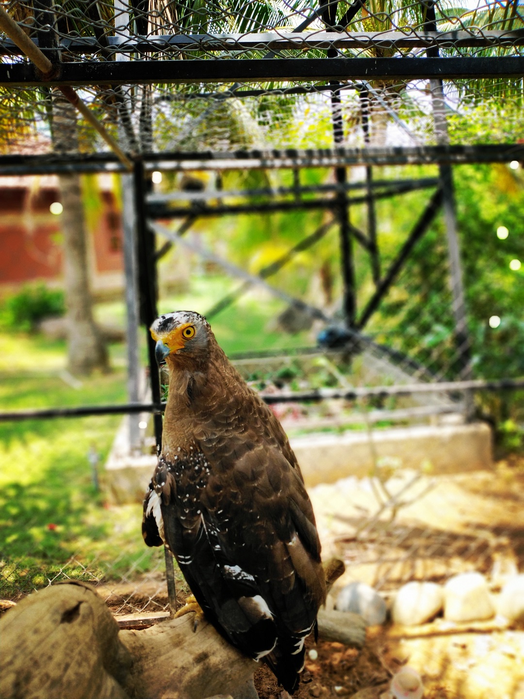 Homepage2021 - HAAN Resort & Golf